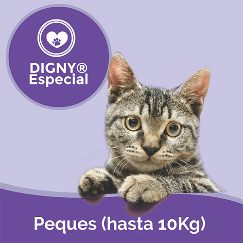 Digny Especial – Digny